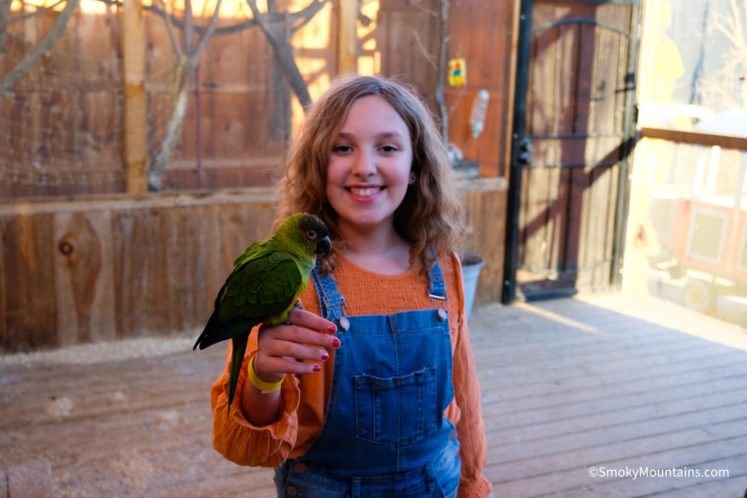 7 Family-Friendly Bonding Activities in Seivierville, TN