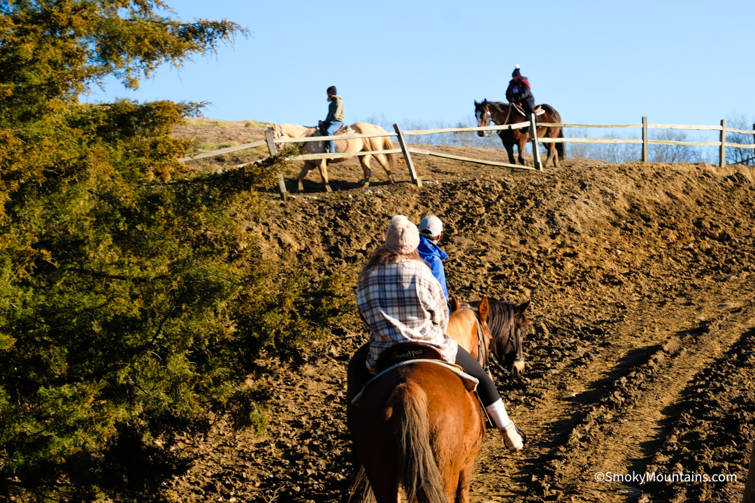 Top 3 Places to Go Horseback Riding in Sevierville, TN