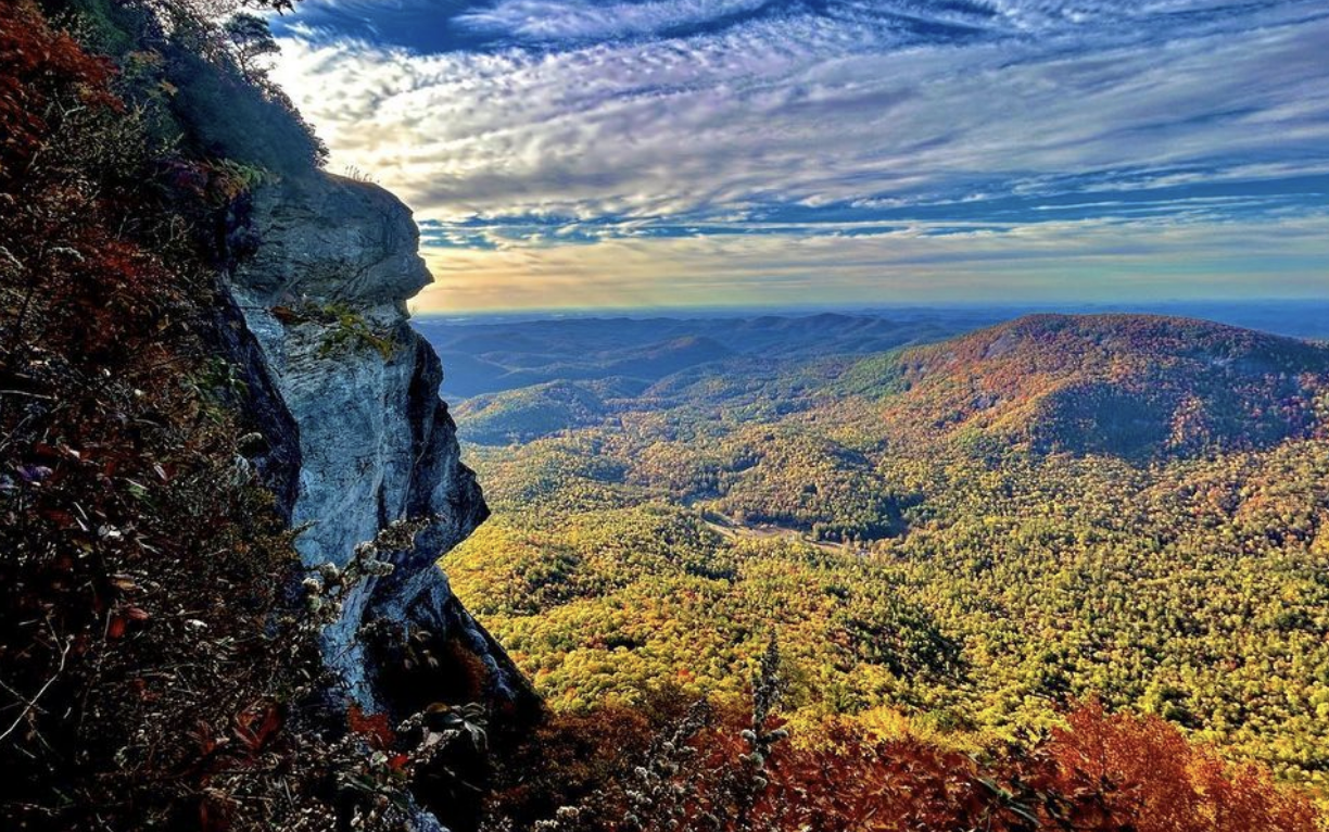 The Best Places to See Fall Foliage in Asheville, TN