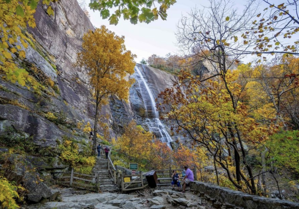 The Best Places to See Fall Foliage in Asheville, TN