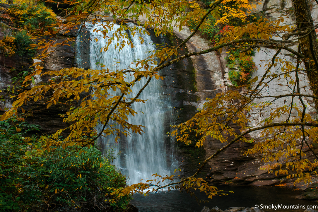 20 (Awesome) Things to Do in Asheville, NC This Fall