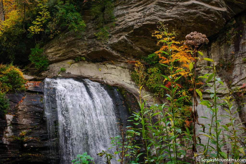 Spring Hikes in the Smoky Mountains: Which Trails Are Best?